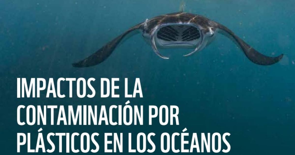 WWF: Impacts of plastic pollution in the oceans | promar.org